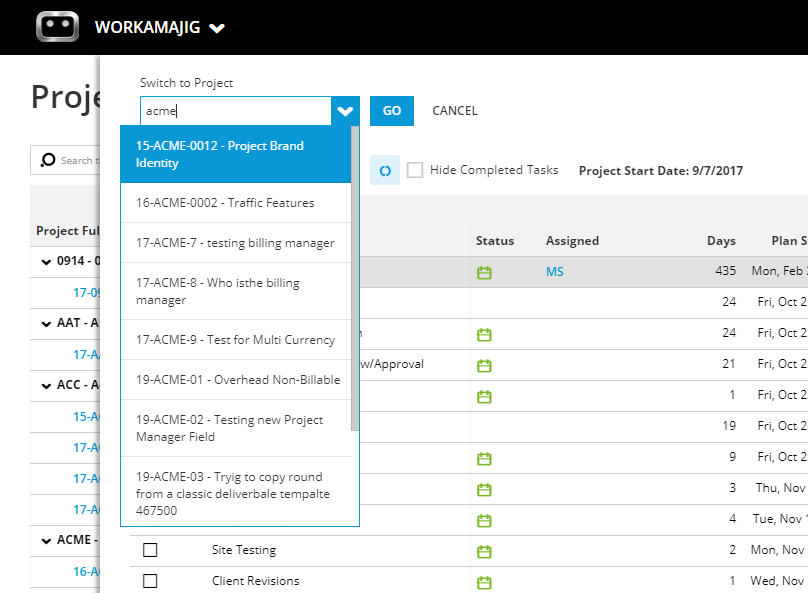 Project schedule overview [in-depth guide] – Workamajig