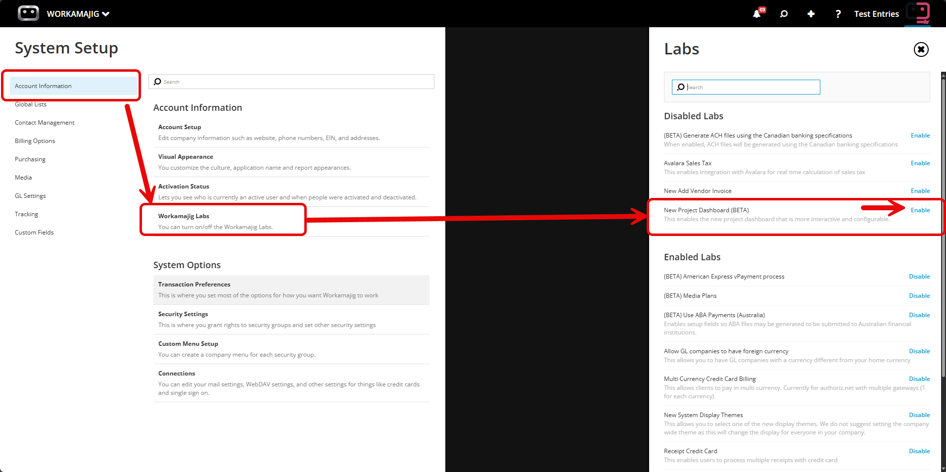 Project Dashboard Widgets (Beta) – Workamajig